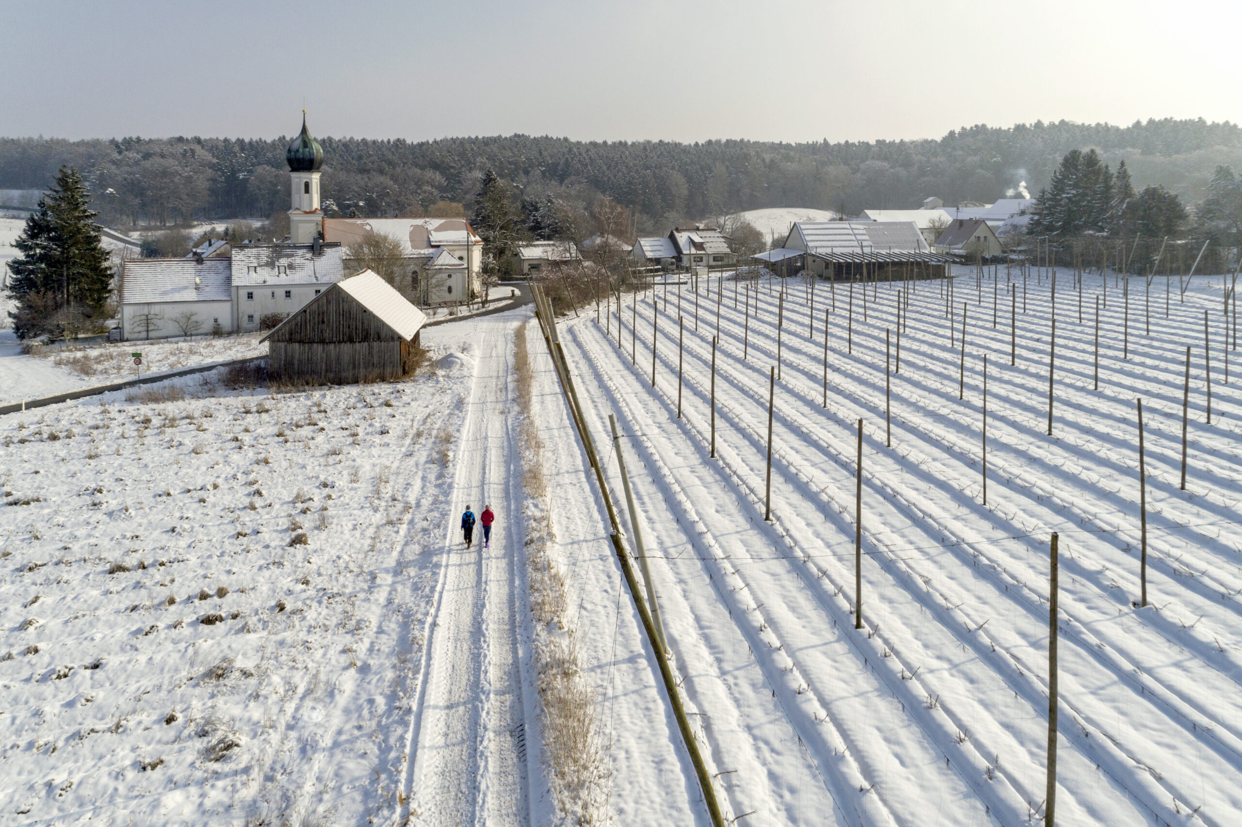 Hopfenland-Hallertau - Oberbayern: echt Bayern
