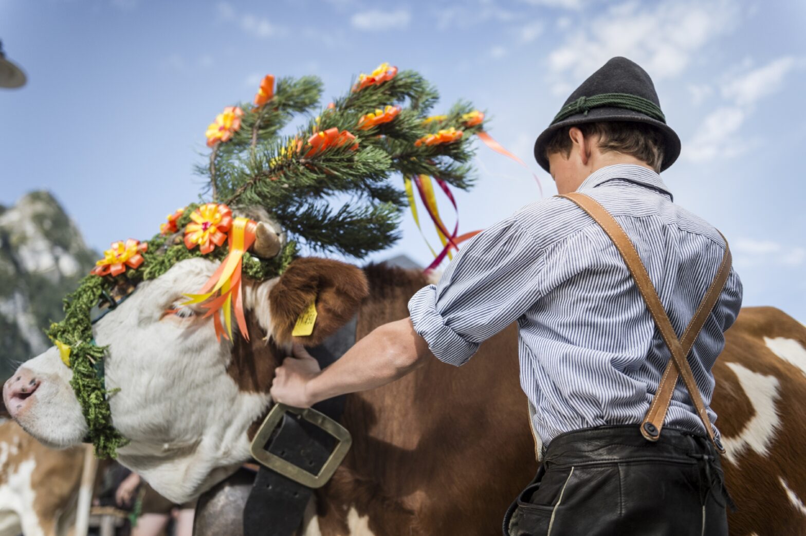 Der Almabtrieb in den Alpenregionen - Oberbayern: echt Bayern